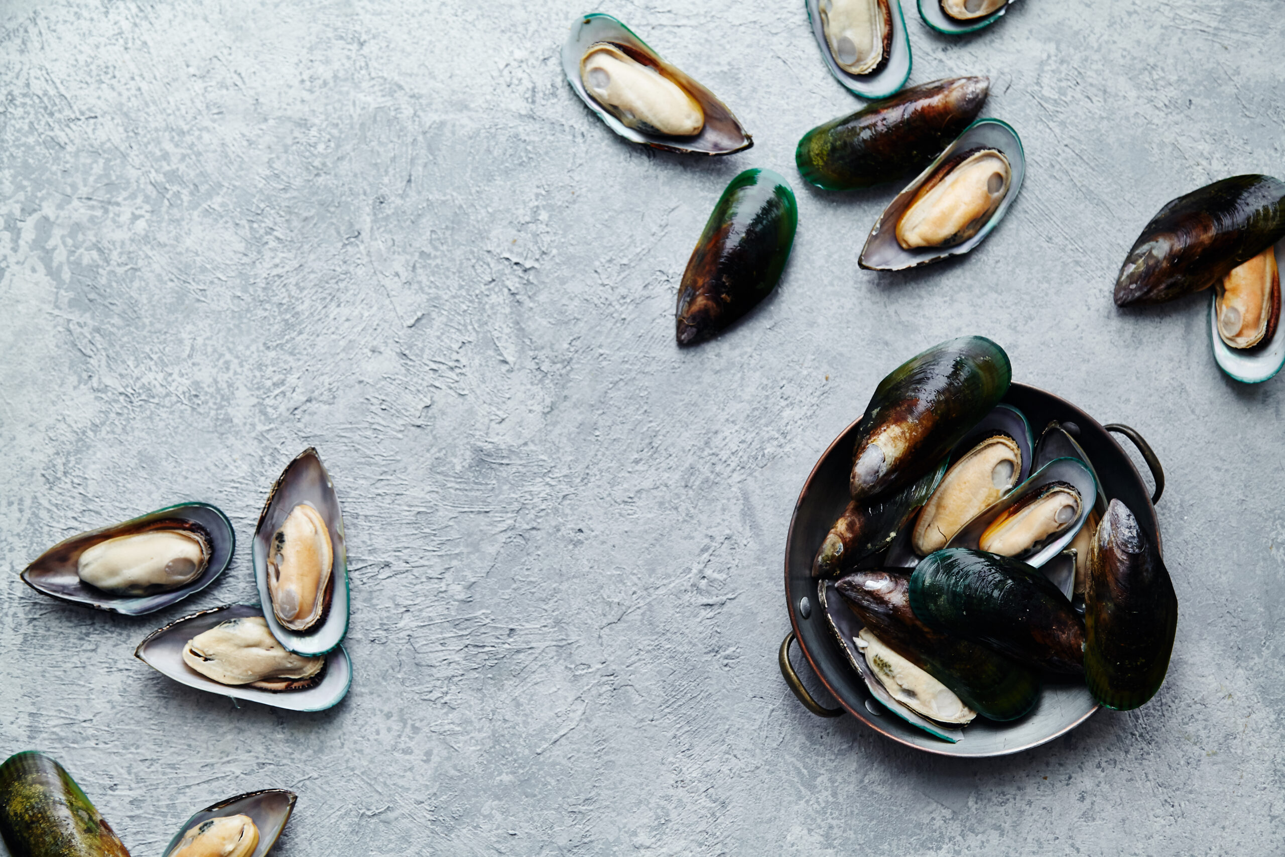 Superior quality mussels - Luiten Food