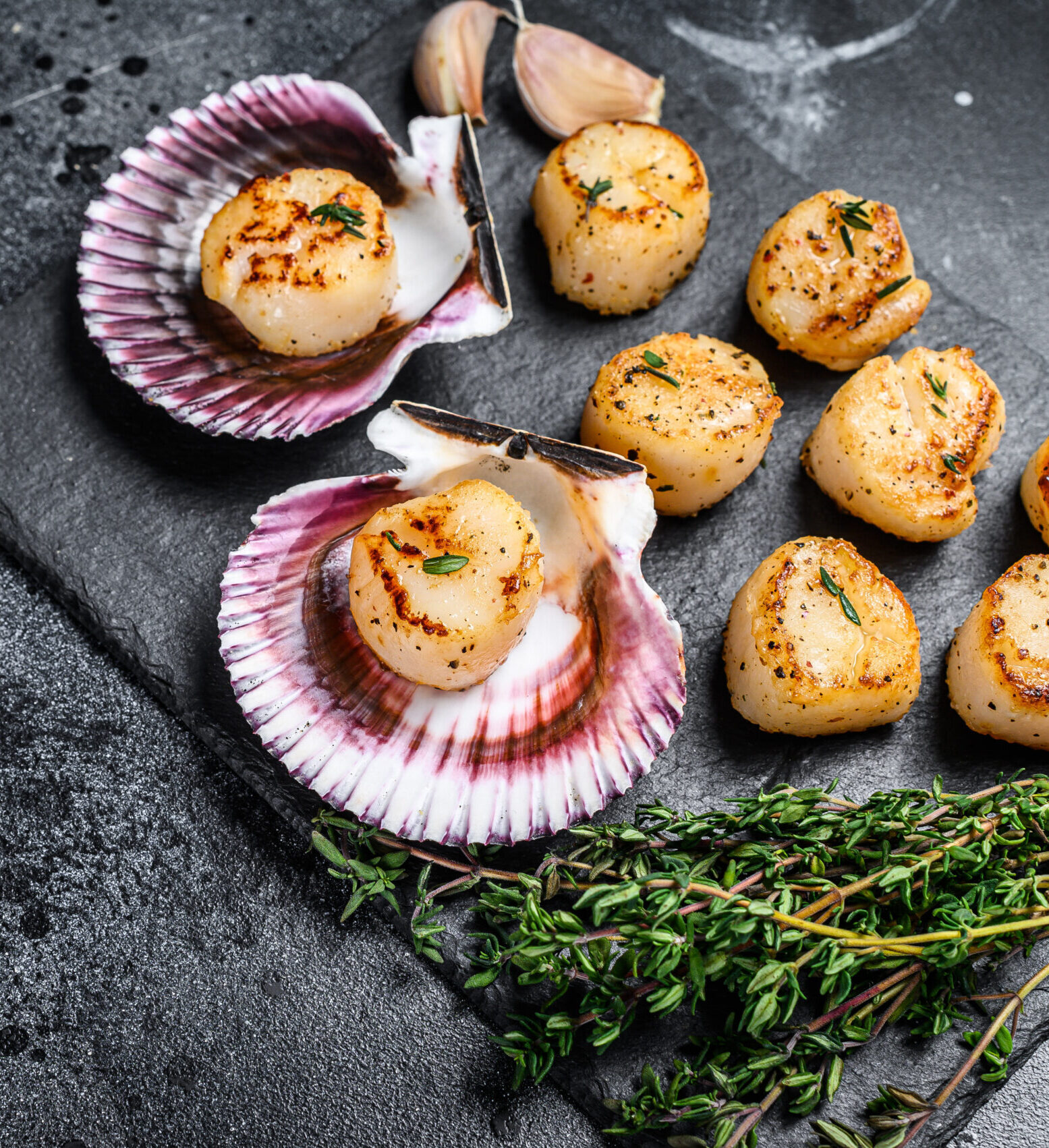 Coquille / St. Jacobsschelpen - Luiten Food
